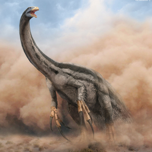 Yamanasaurus lojaensis: una nuova specie di dinosauro scoperta in Ecuador