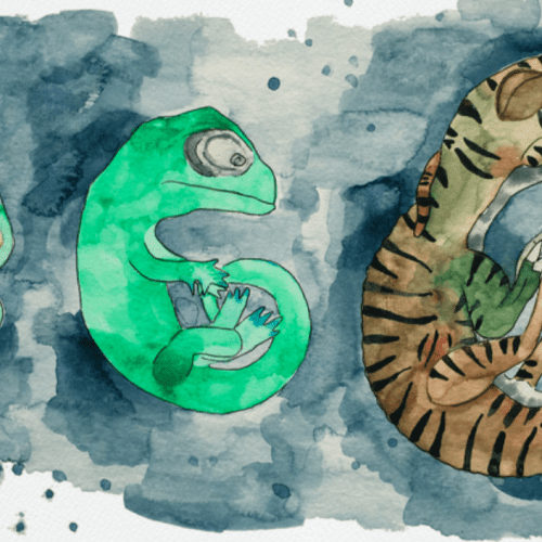 Yamanasaurus lojaensis: una nuova specie di dinosauro scoperta in Ecuador