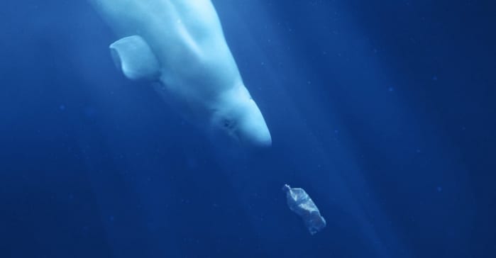 Documentari su ambiente e natura: i 10 migliori