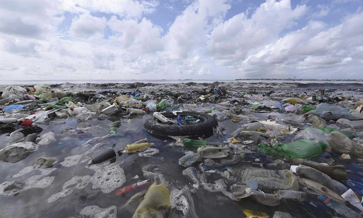 Pacific Trash Vortex: l'isola di plastica dell'Oceano Pacifico