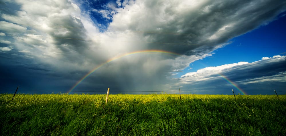 L'Arcobaleno | Lega Nerd