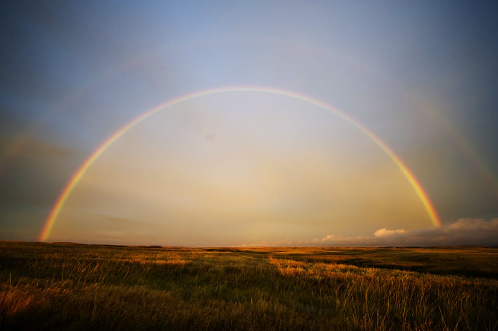 L'Arcobaleno | Lega Nerd