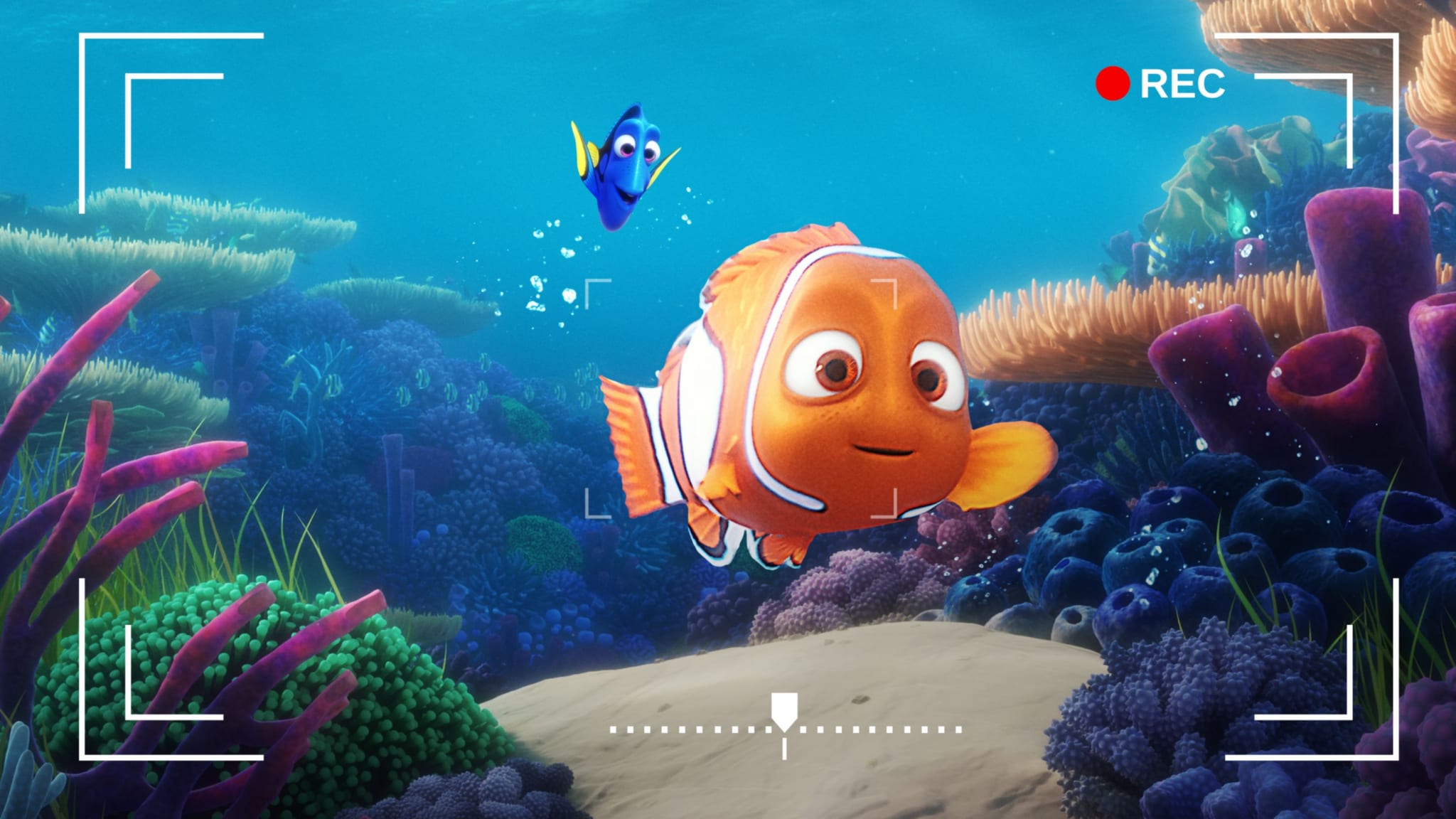 Dory’s Reef Cam: disponibile su Disney+ la tua vista sulla barriera ...